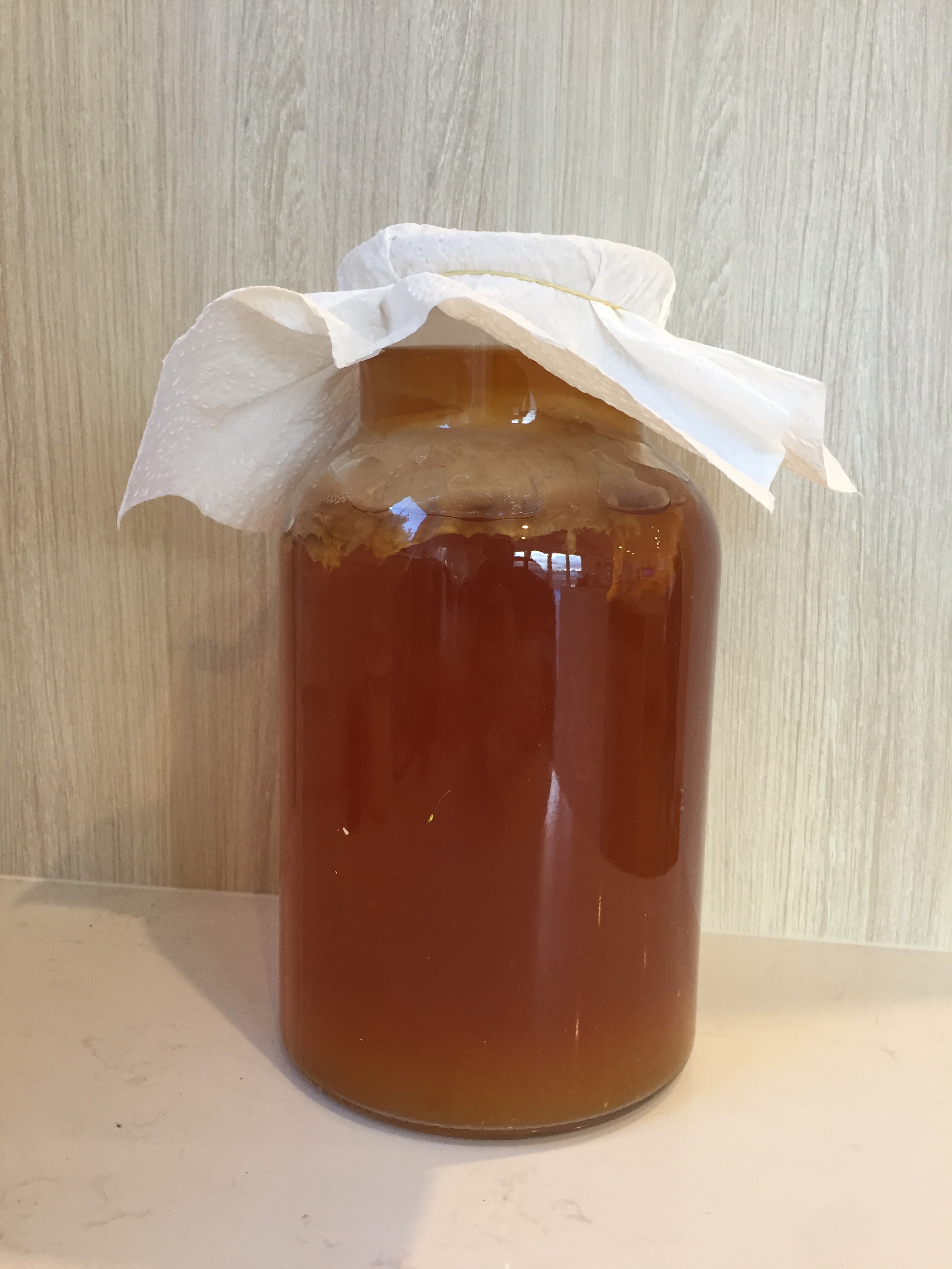 The magical world of kombucha – how to start your own brew – once upon ...